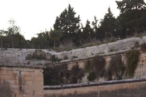 Ġnien Re George V - Malti